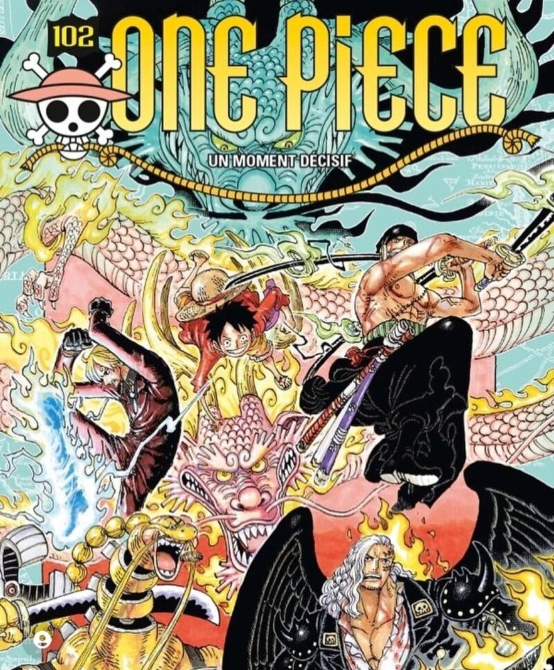 Le tome 102 de One piece enfin disponible en France